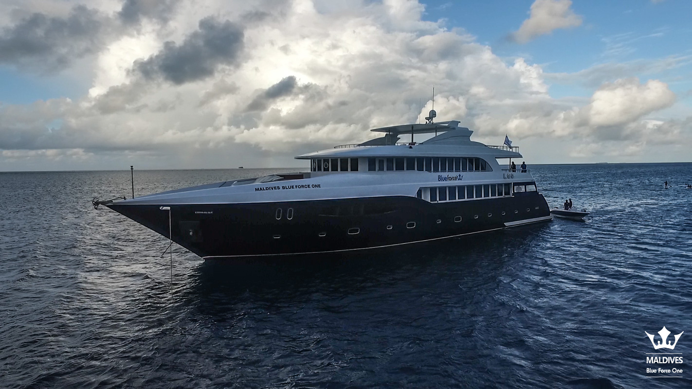 Maldives Blue Force One | 船宿预订 - 趣潜船宿