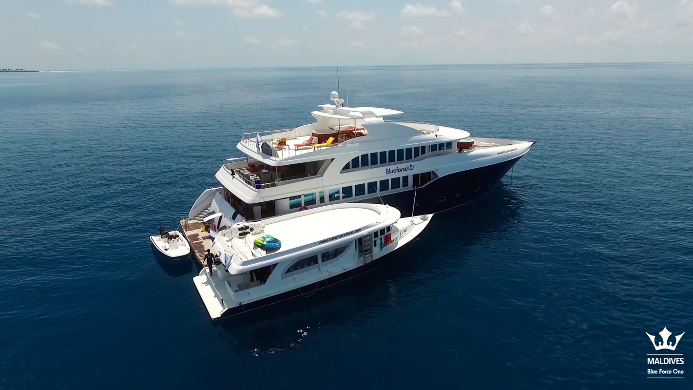 Maldives Blue Force One | 船宿预订 - 趣潜船宿