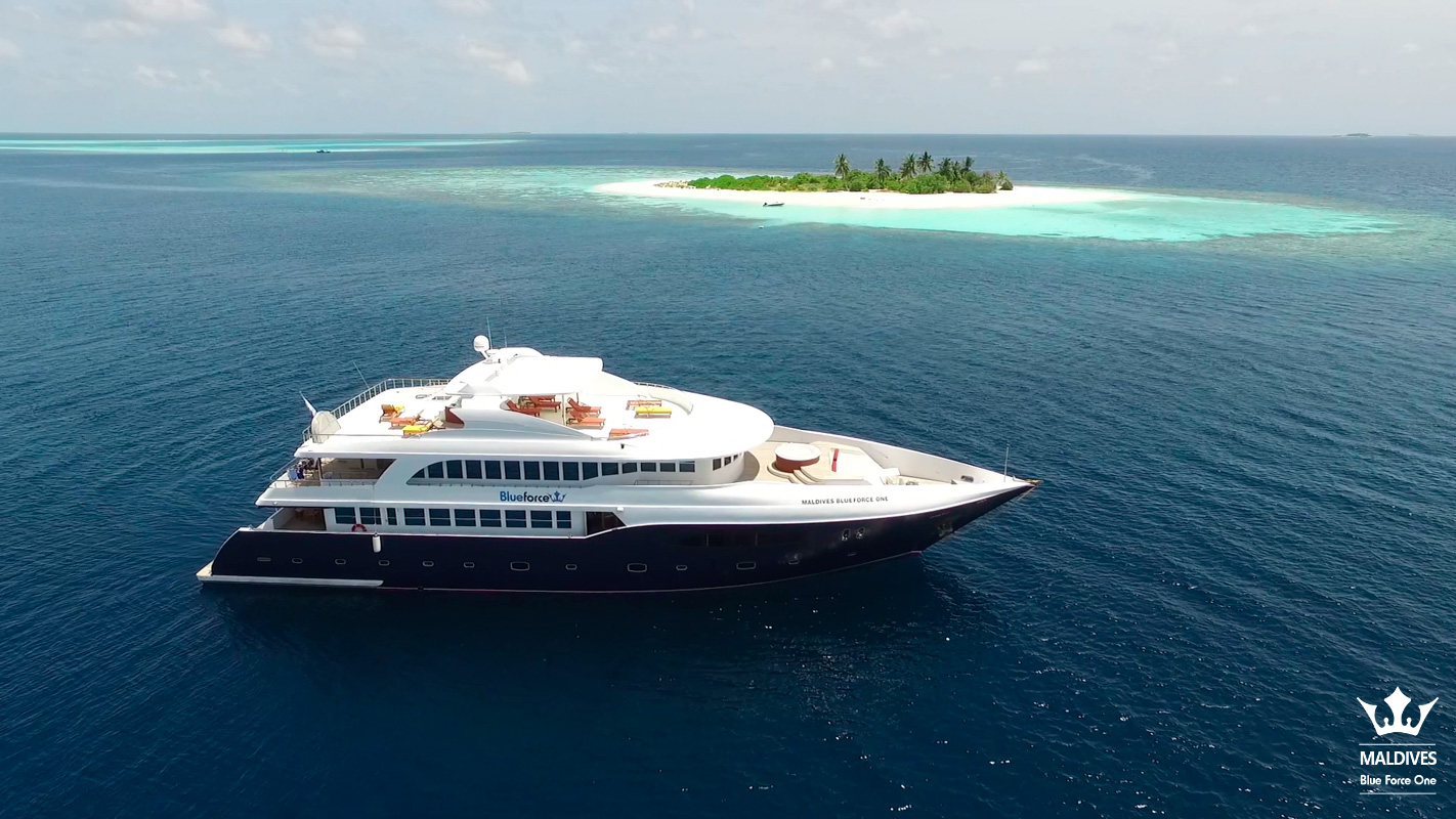 Maldives Blue Force One | 船宿预订 - 趣潜船宿